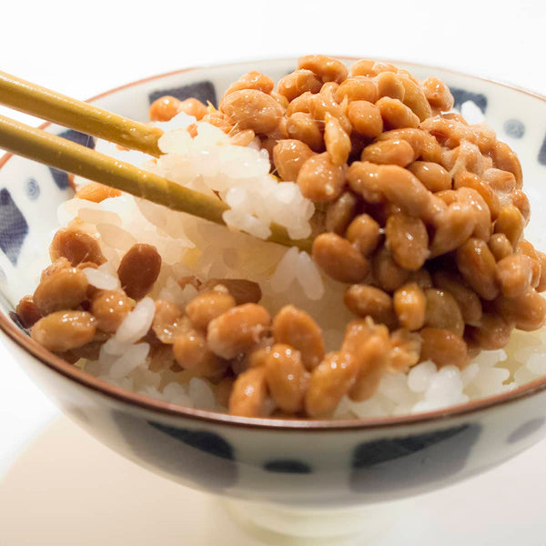 How to Make Natto – Brod & Taylor UK
